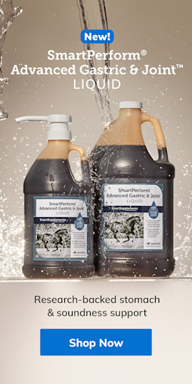 Horse Joint Supplements - SmartPak Equine