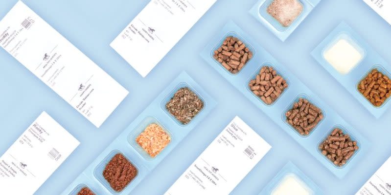 Power Your Passion and Win! | SmartPak Blog