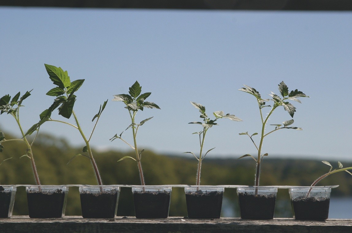 Smart Ways to Reuse Your SmartPaks | SmartPak Blog