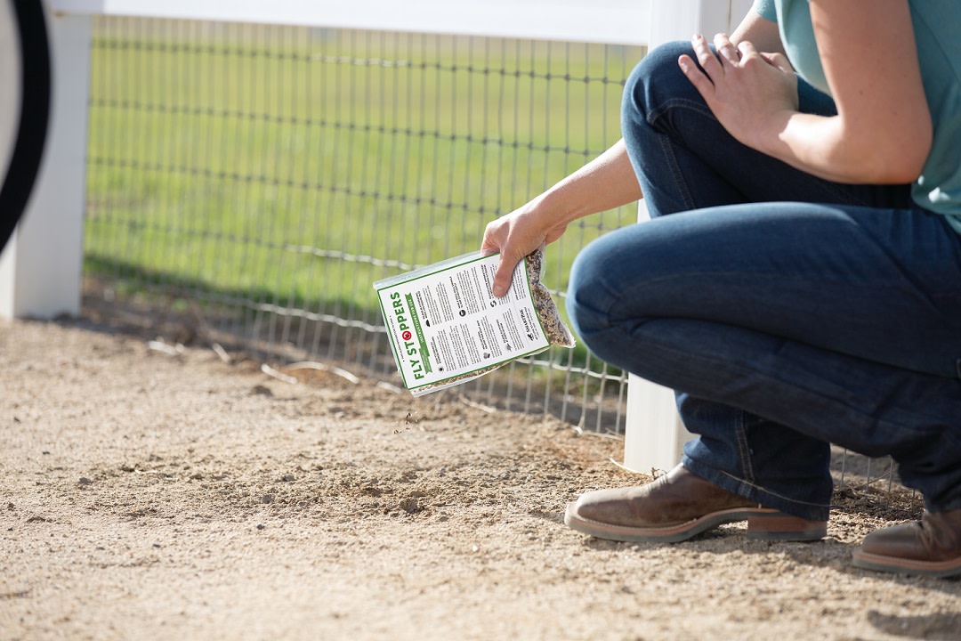 Smart Tips for Success with Fly Stoppers | SmartPak Blog