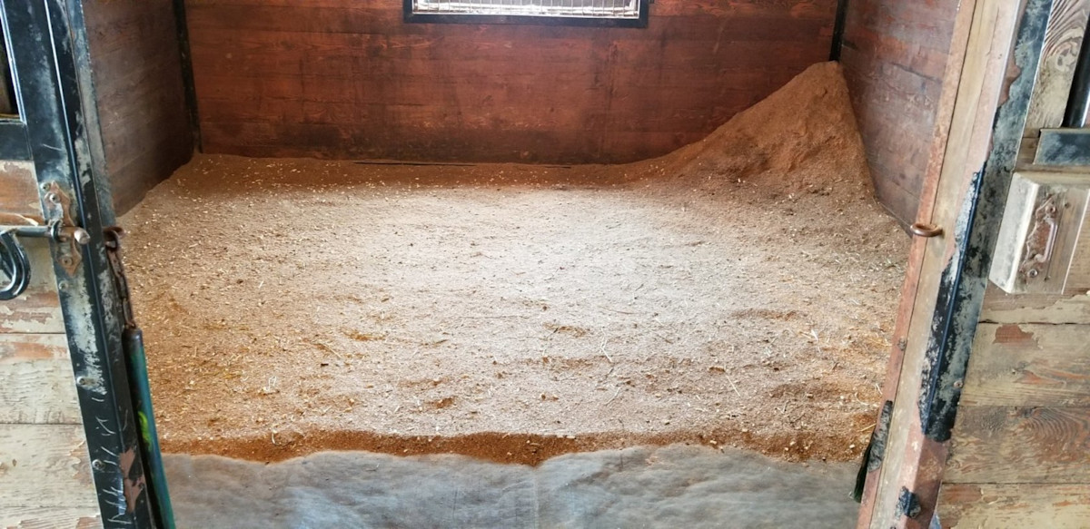 5 Back Saving Tips for Barn Chores | SmartPak Blog