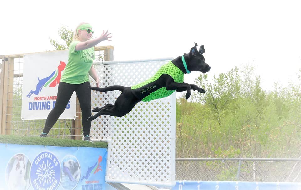 SmartPak Dog Blog: A Deep Dive into Canine Supplements | SmartPak Blog