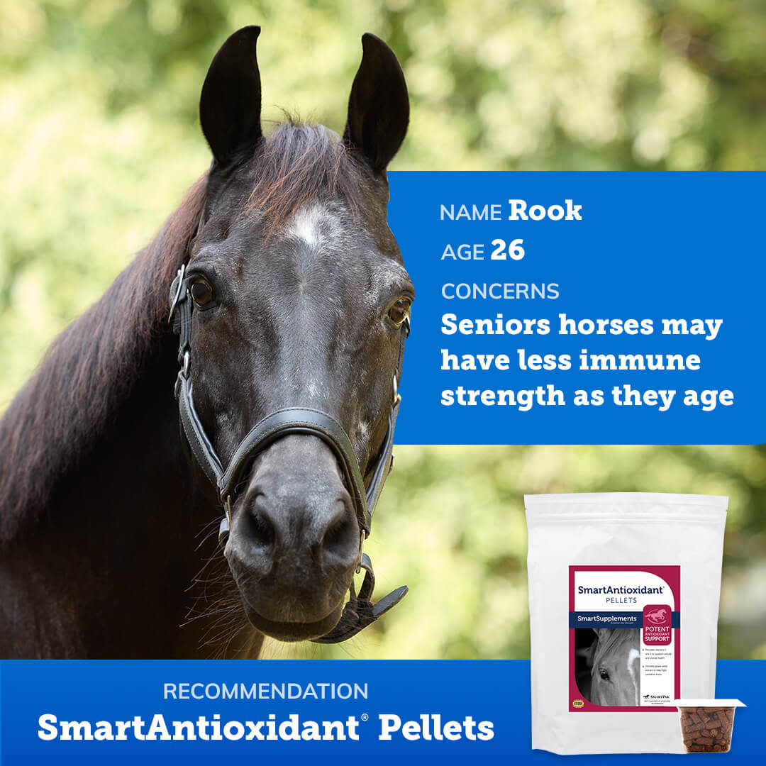 SmartPak Horse Health Profiles: Immune Support