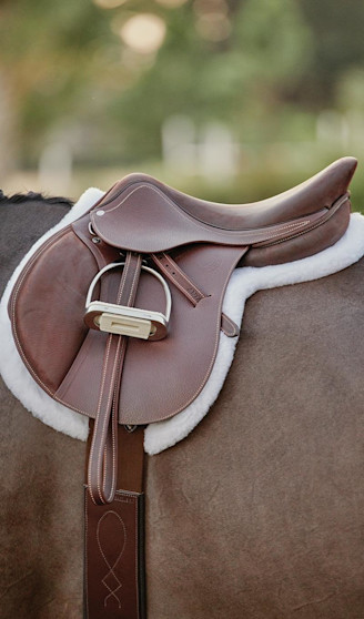 SmartPak Equine: Horse Supplements, Tack and Supplies