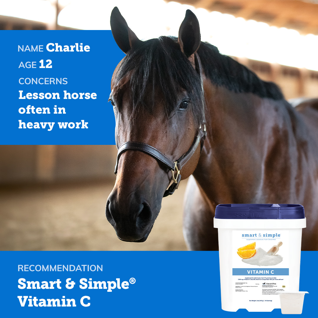 SmartPak Horse Health Profiles: Immune Support Part 2
