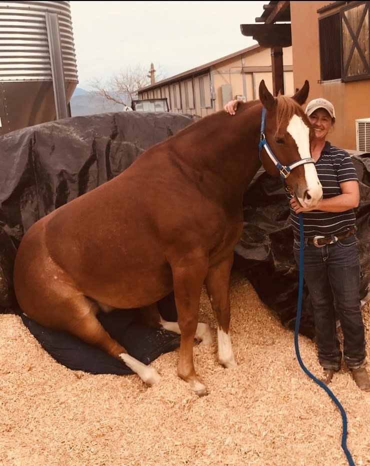 Meet Lucinda R. and Murphy (a ColiCare Success Story) | SmartPak Blog