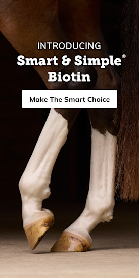 Horse Supplements for Equine Health & Nutrition - SmartPak