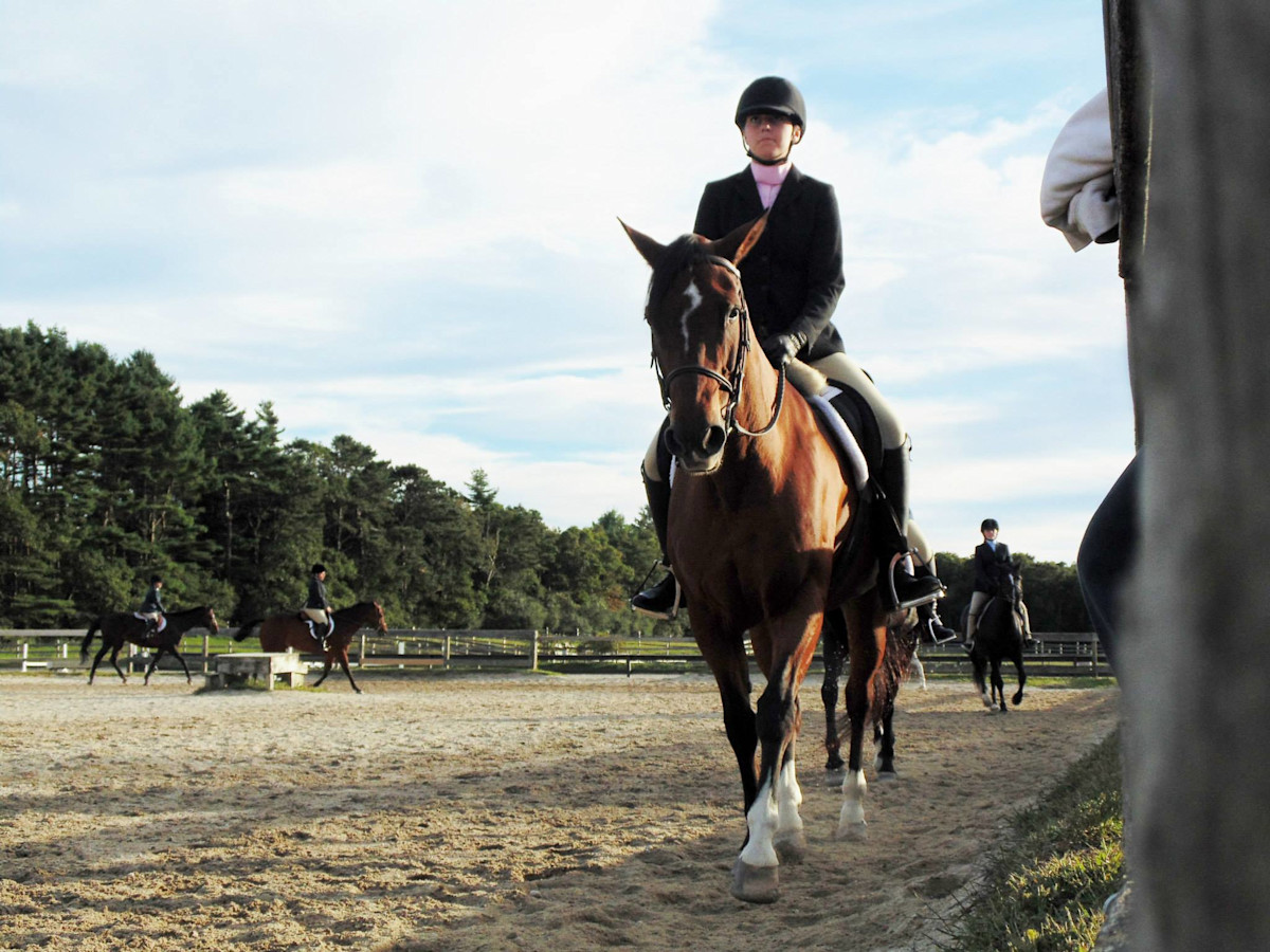 Riding With Nerves (not around them) | SmartPak Blog