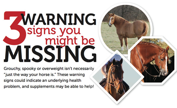 3 Warning Signs You Might Be Missing | SmartPak Blog