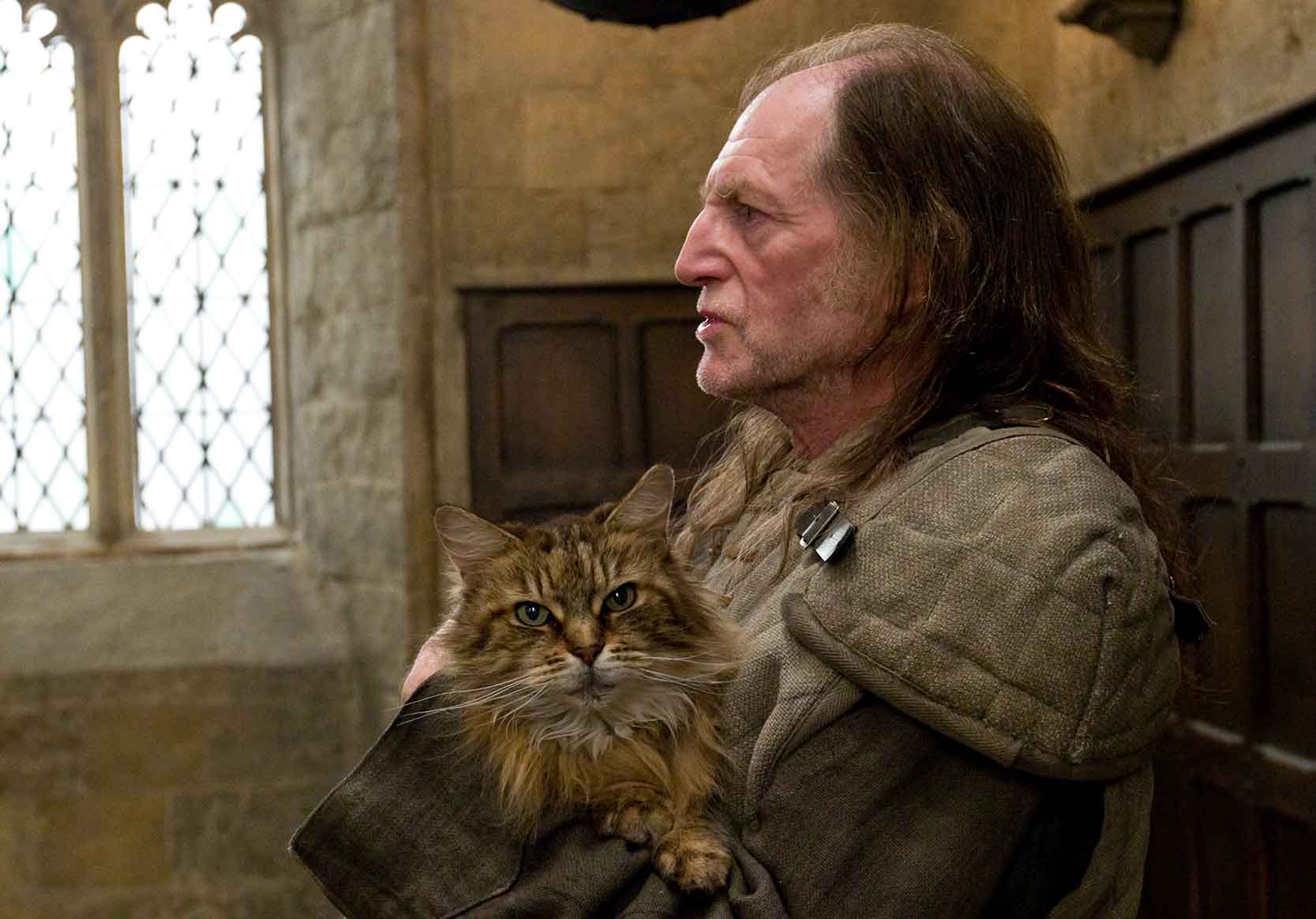 Harry Potter | The Argus Filch quiz | Wizarding World