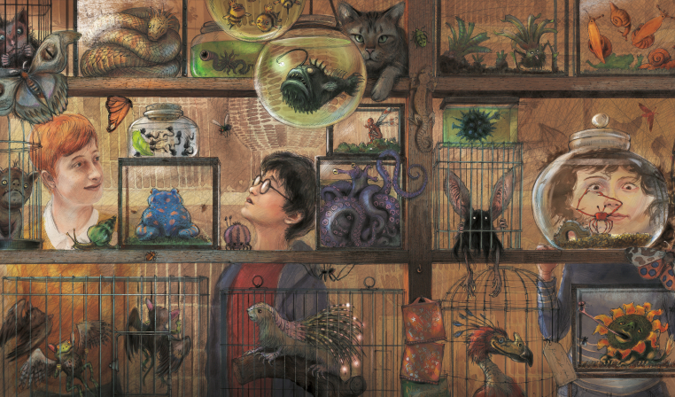 Harry Potter | The first year pets quiz | Wizarding World