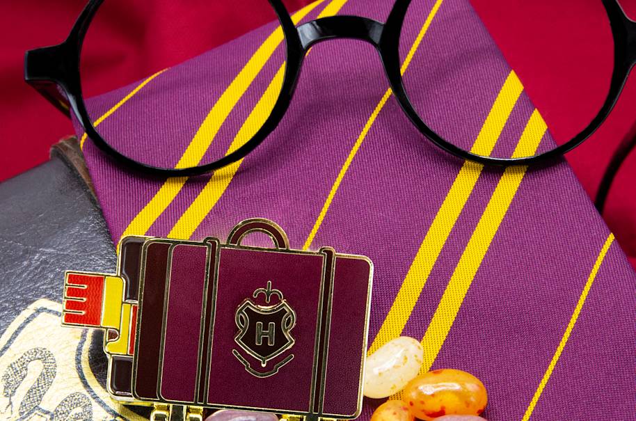 Harry Potter Seek New Harry Potter Pins In 2024 Wizarding World