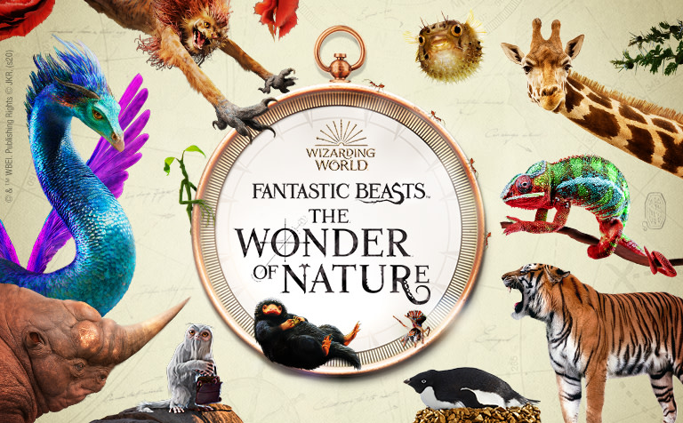 Harry Potter | Fantastic Beasts: The Wonder of Nature exhibition to ...