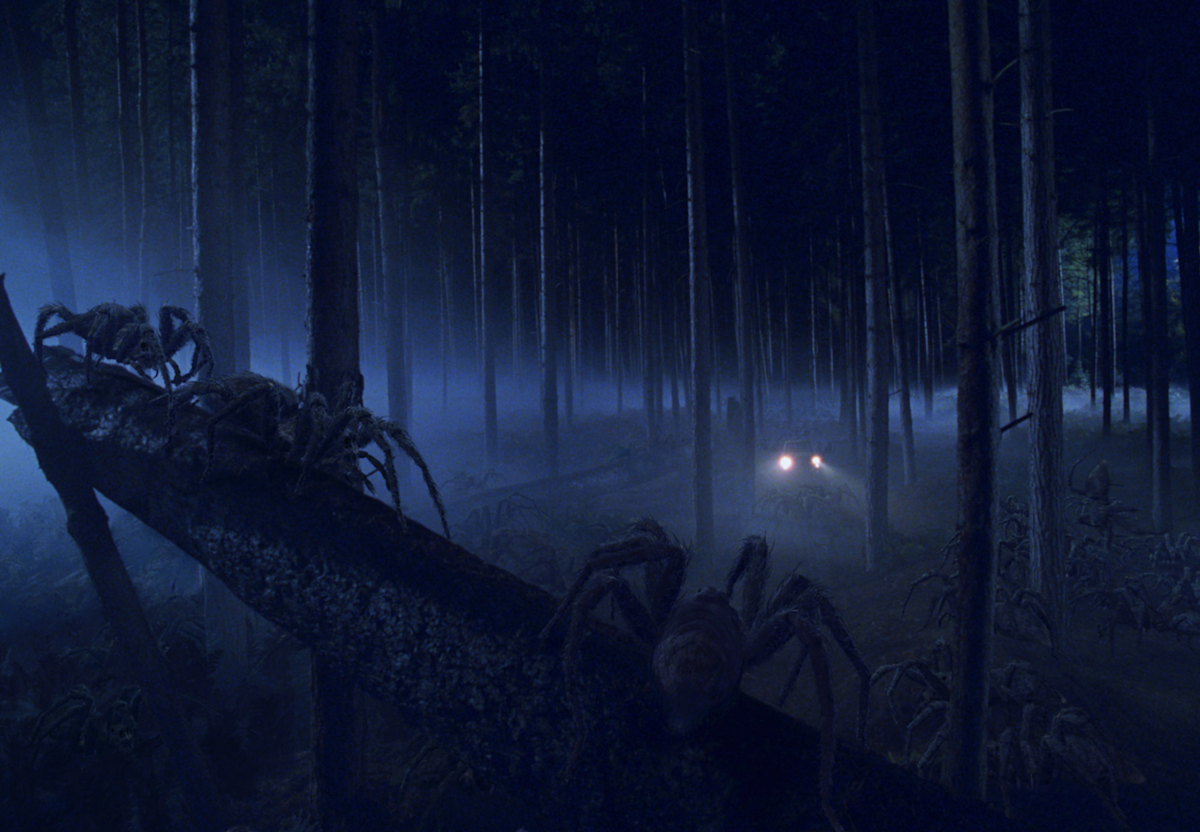 Acromantula | Official Harry Potter Encyclopedia