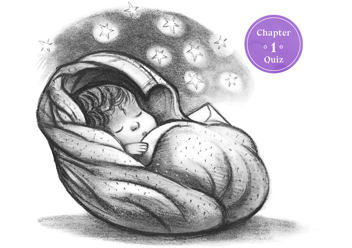 Harry Potter | Chapter One Quiz | Wizarding World