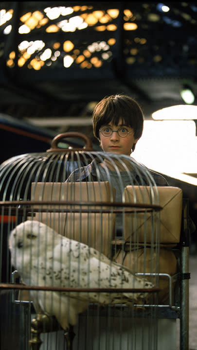 Harry Potter | Back to Hogwarts | Wizarding World