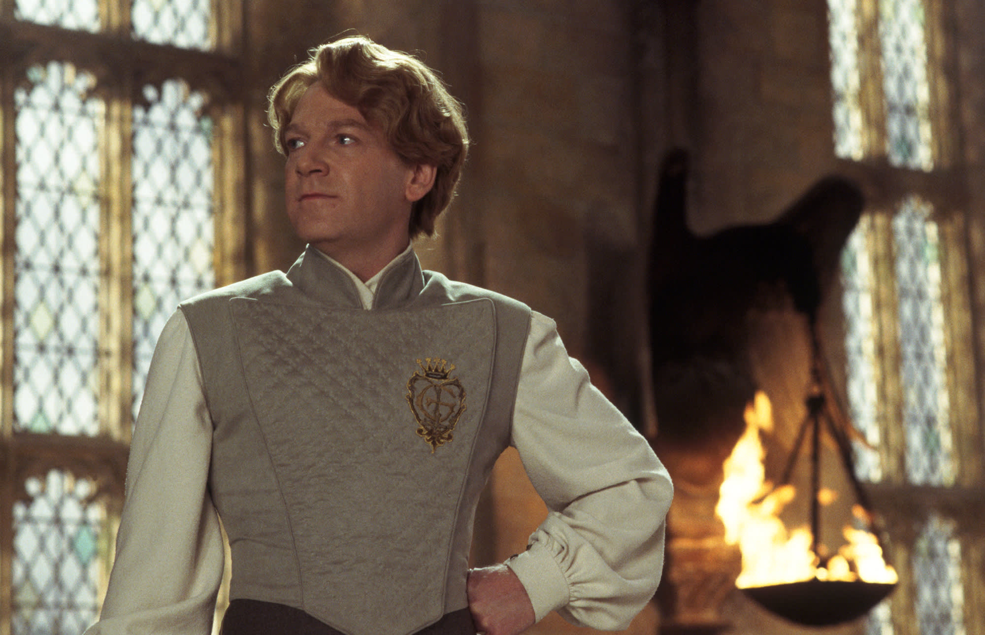 Harry Potter | Gilderoy Lockhart