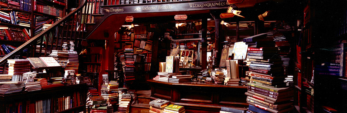 Harry Potter | The weirdest and most obscure books of the wizarding ...