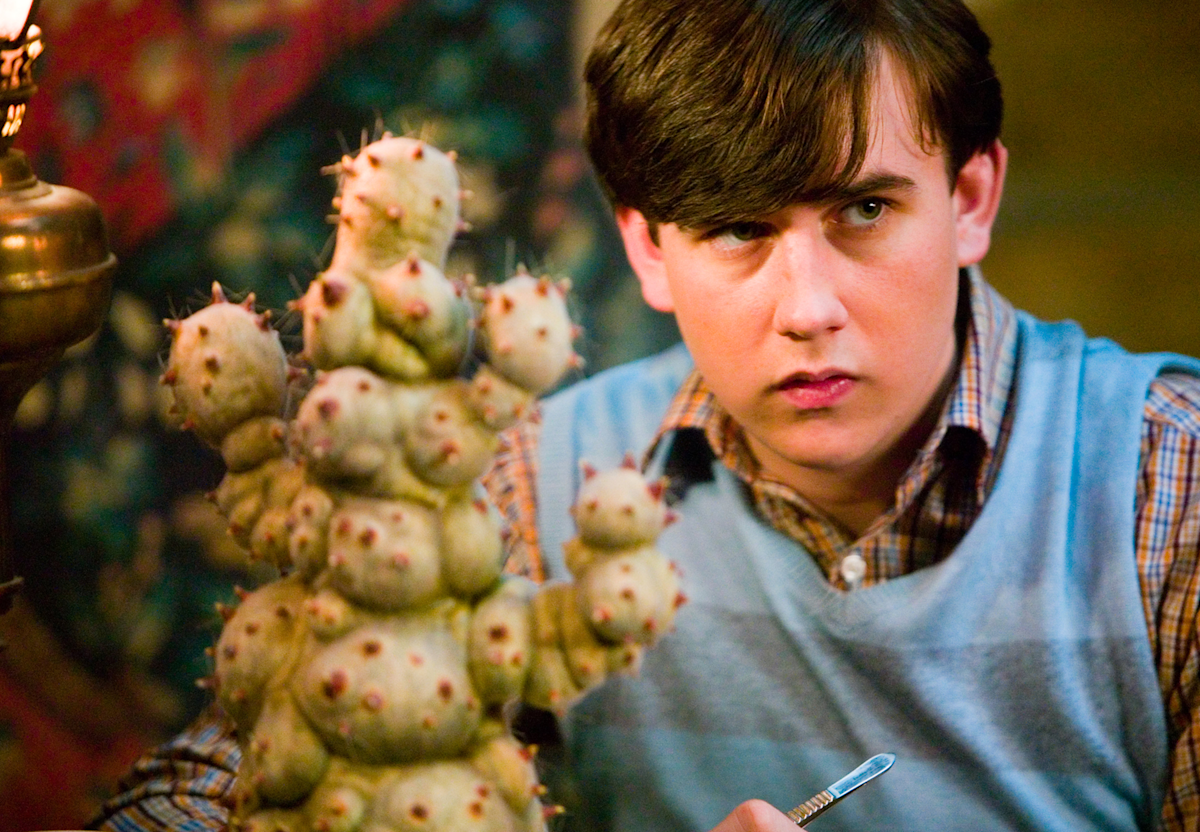 Mimbulus mimbletonia | Official Harry Potter Encyclopedia