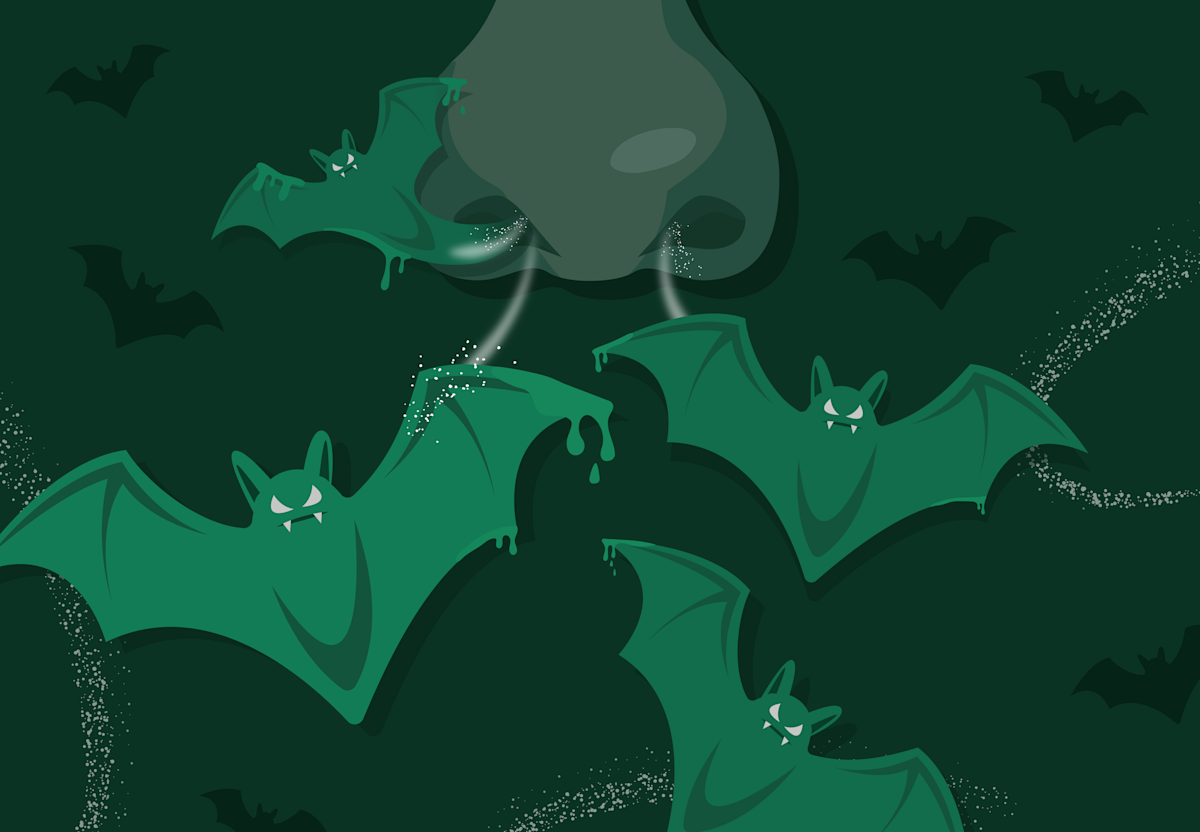 The Bat-Bogey Hex | Official Harry Potter Encyclopedia