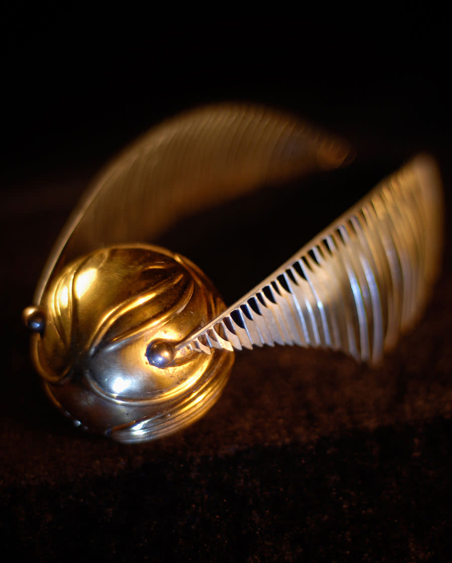 Harry Potter | The secret of the Snitch | Wizarding World