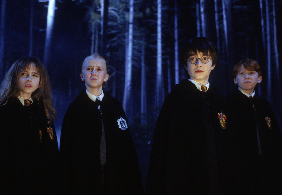 The Forbidden Forest | Official Harry Potter Encyclopedia