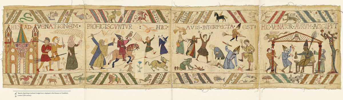 Harry Potter | Watch: A Quidditch history lesson before you play Harry ...