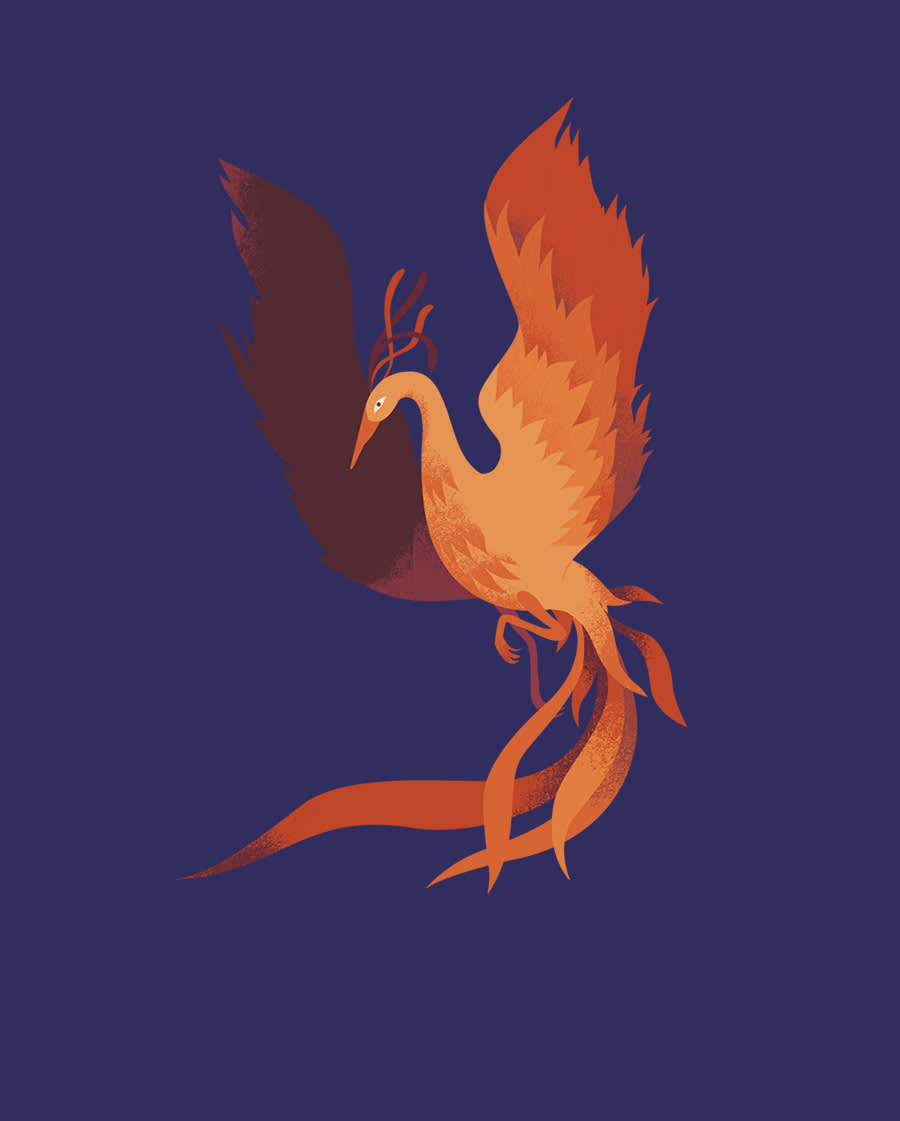 Harry Potter | Congrats, explorer! | Wizarding World