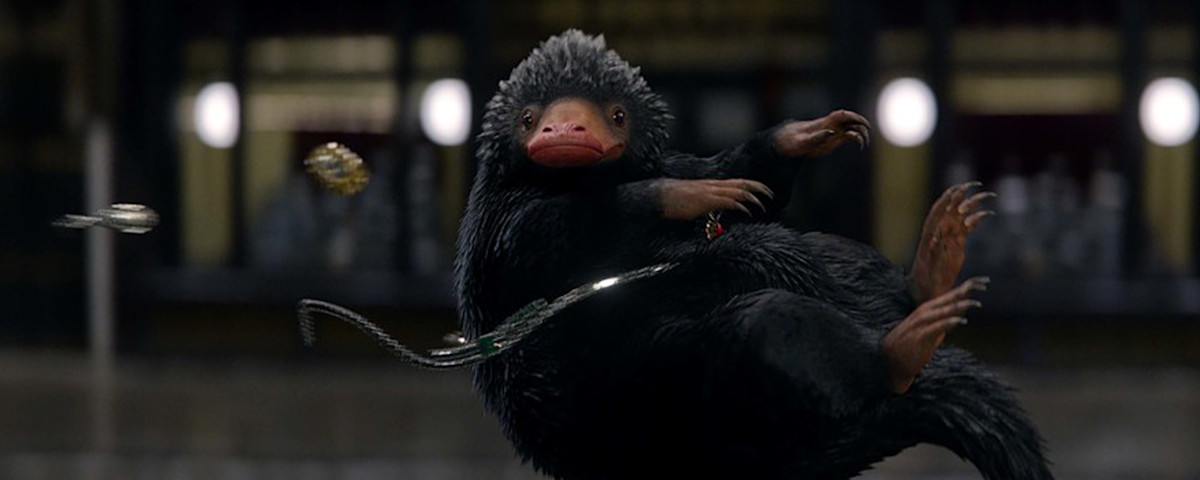 Harry Potter | Five reasons why we wish we could own a Niffler ...