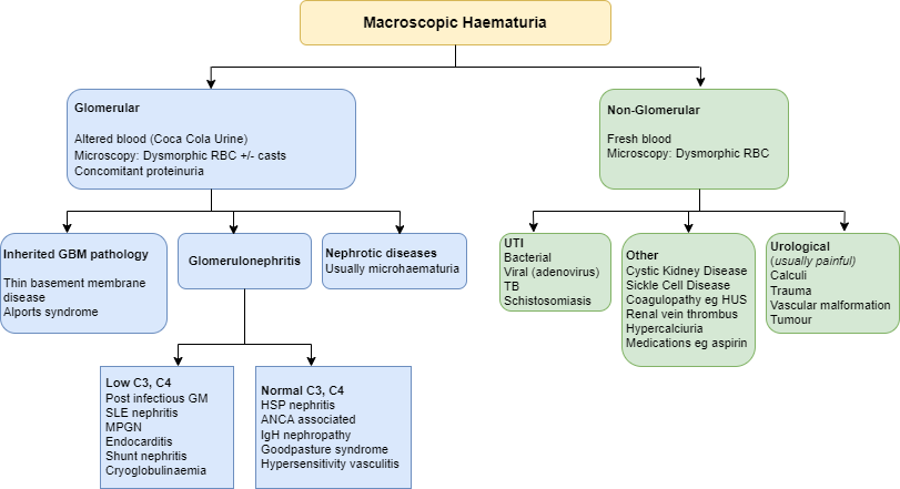 Haematuria