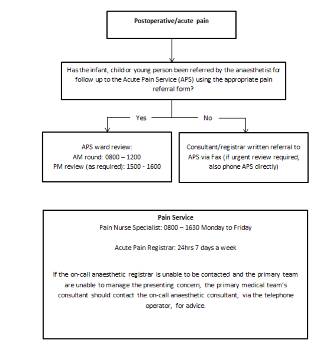 Referral to the paediatric ACUTE pain service Referral to the paediatric ACUTE pain service