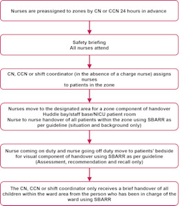 Nursing Handover Of An Infant Child Or Young Person
