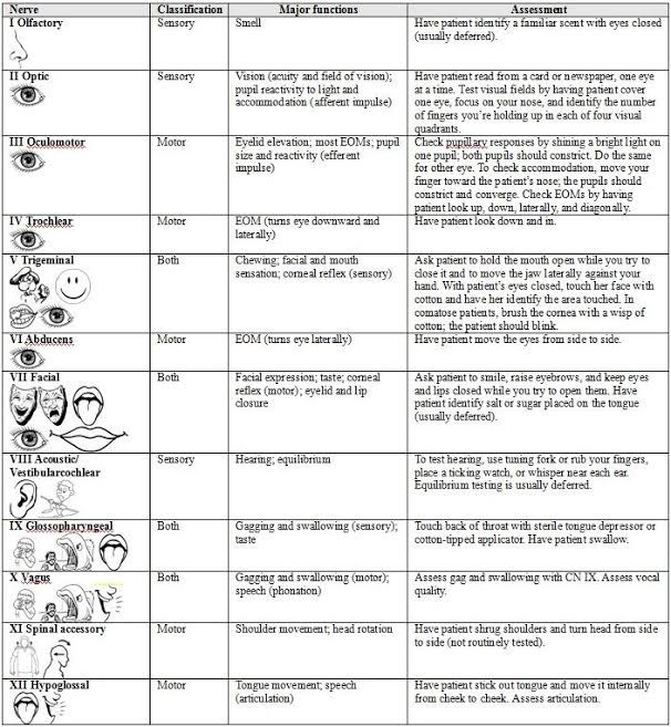 cranial nerve assessment