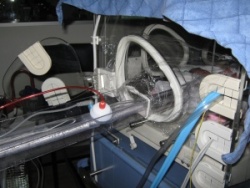 HFOV - nursing management of the neonate on Sensormedics