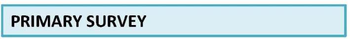 Primary survey main heading