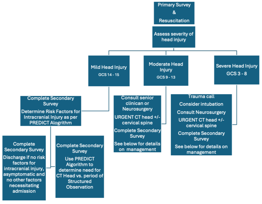 Head Injury Picture 1