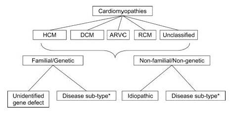 Cardiomyopathy