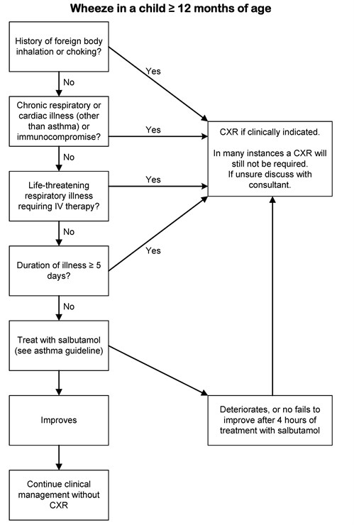 Chest X-ray in acute wheeze