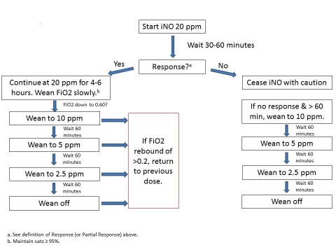Image: Nitric Oxide - inhaled - 38