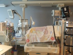 HFOV - nursing management of the neonate on Sensormedics