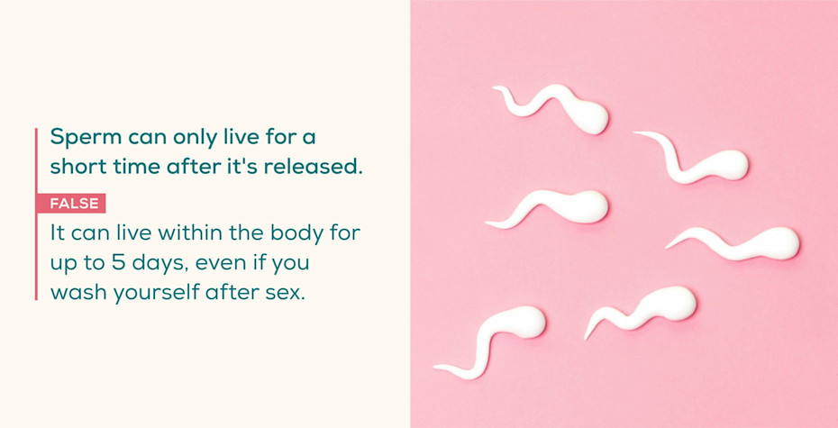 Popular Sexual Health Myths That People Still Get Wrong Blog