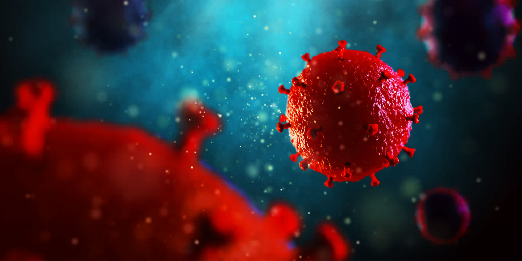 Hiv Vs Aids Whats The Difference Everlywell Home Health Testing Made Easy Results You