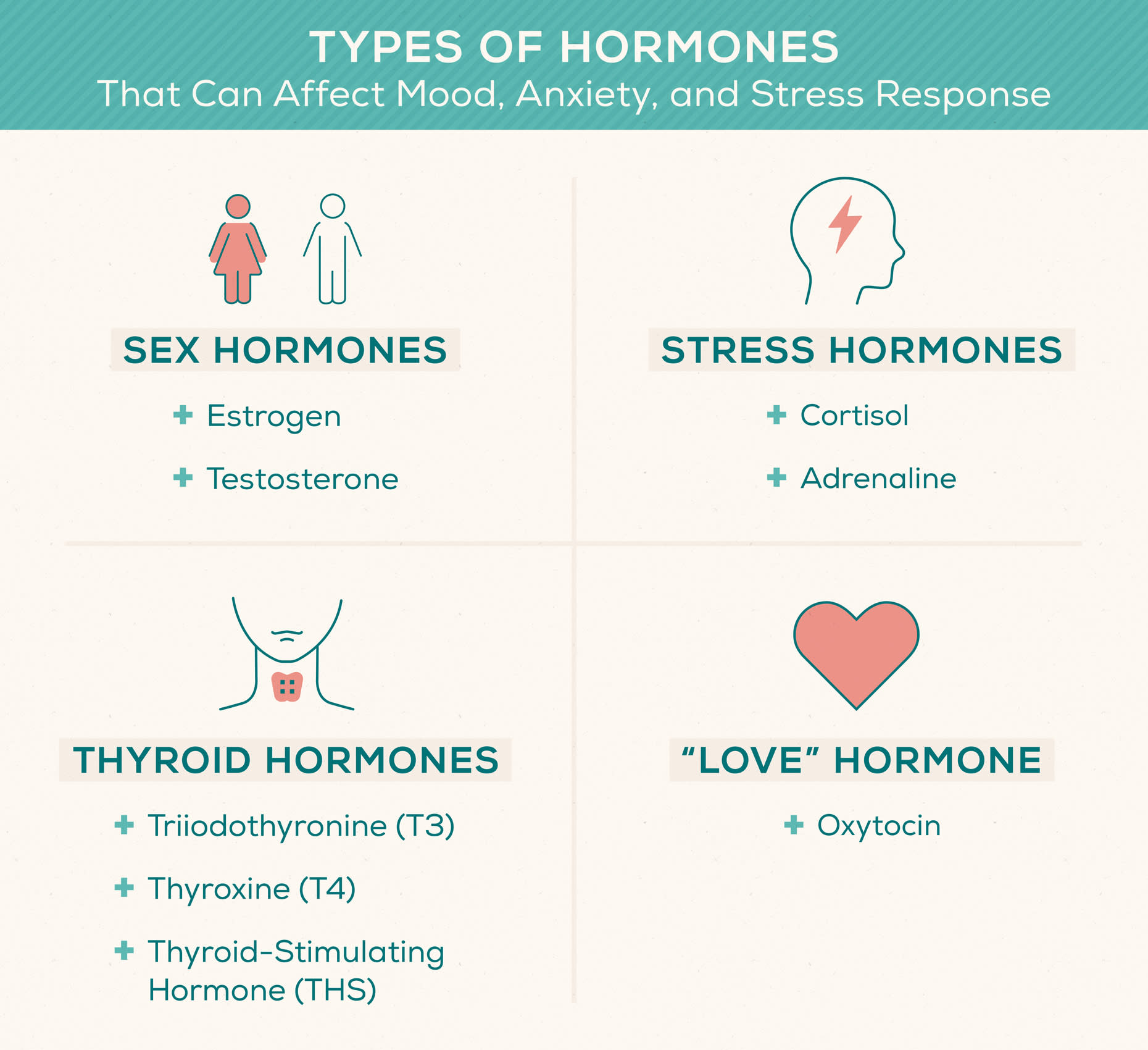 The Link Between Hormones and Anxiety | Everlywell