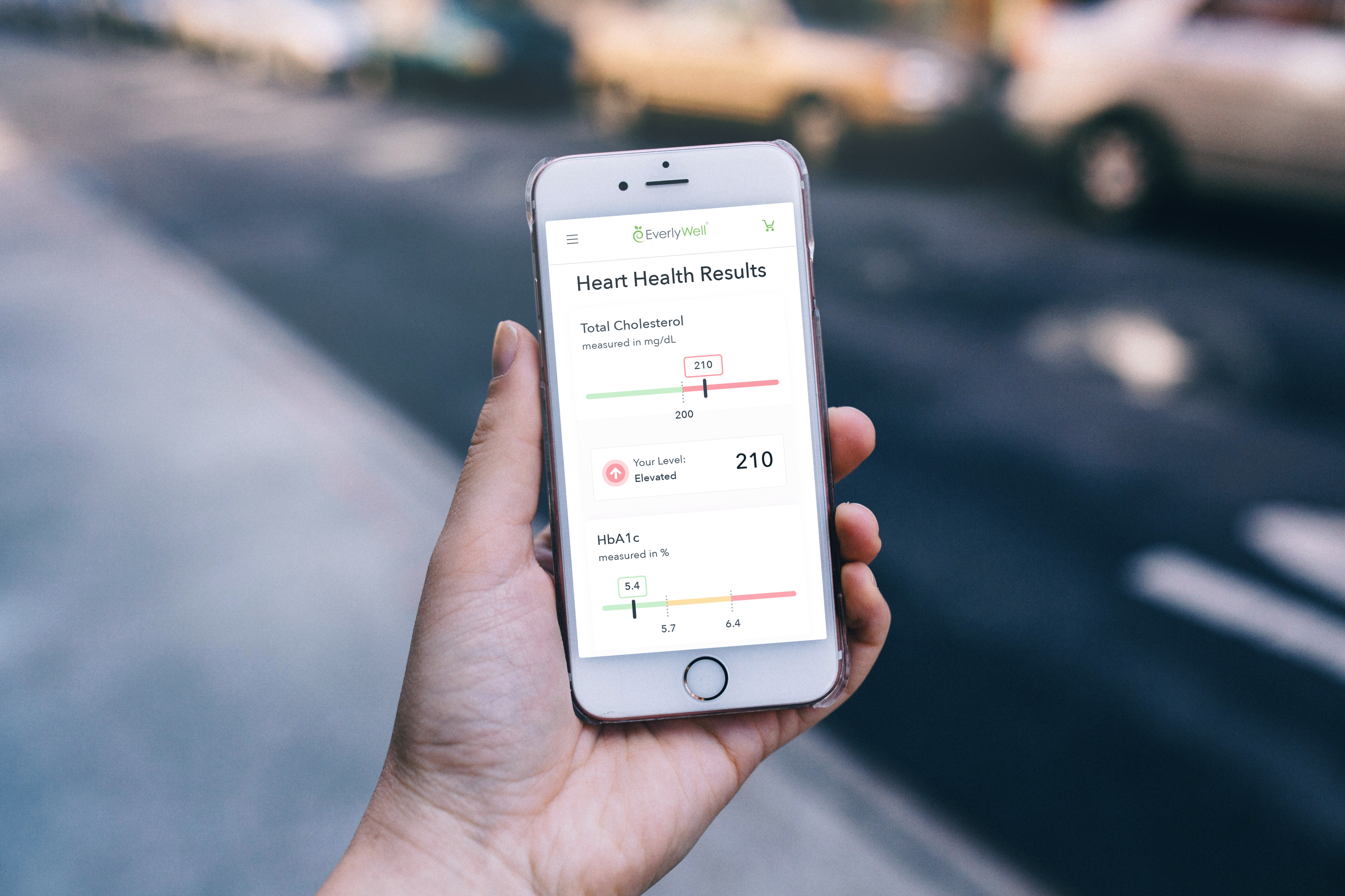Blood Tests at Home | How At-Home Lab Tests Work | Everlywell