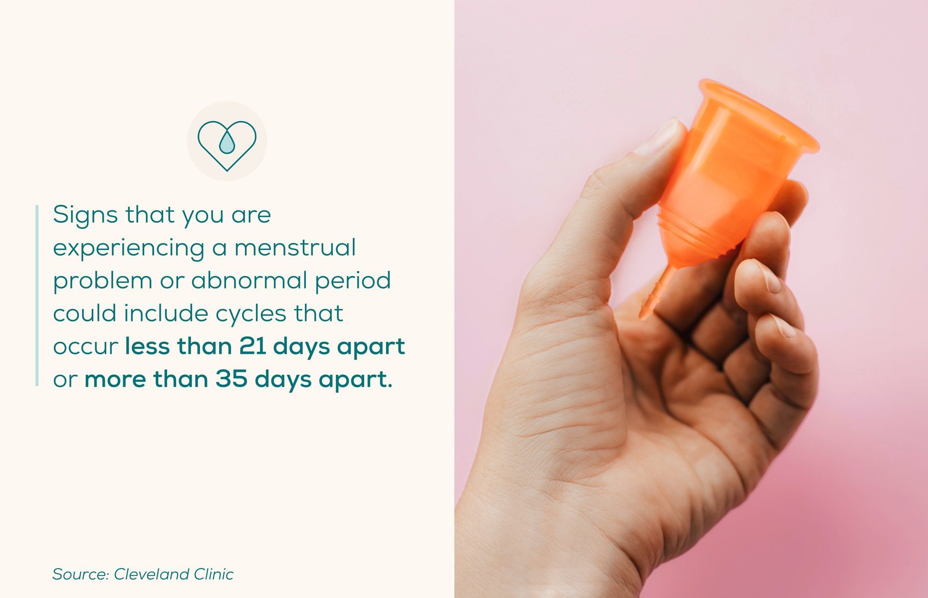 OB-GYN Questions | Questions to Ask Gynecologist | Everlywell