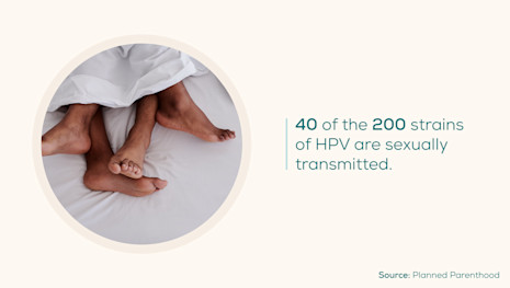 What Is HPV? | How Is HPV Transmitted? | Everlywell
