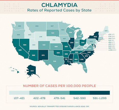 STD Rates By State: How Common Are STDs? | STD Map | Everlywell