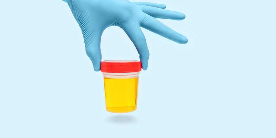 Bladder Infection Vs Uti Key Differences Everlywell