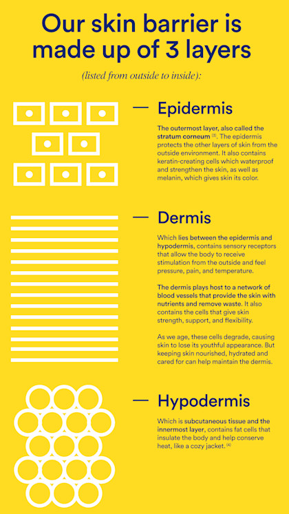 What Is Skin Barrier Function?