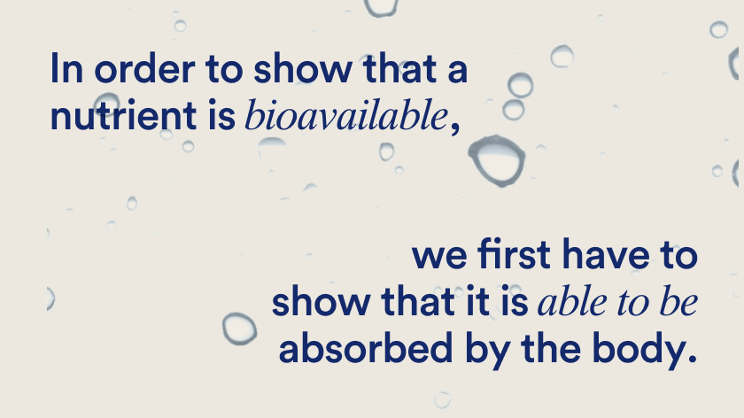 What Is Bioavailability? Here’s Why It’s So Important